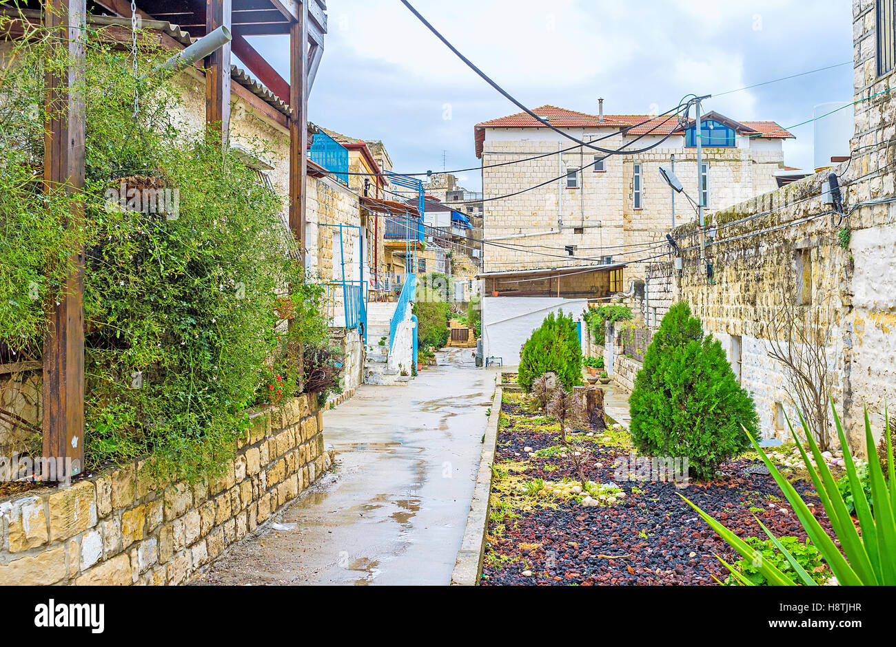 The tiny gardens and flower beds in the old stone Safed, Israel Stock ...