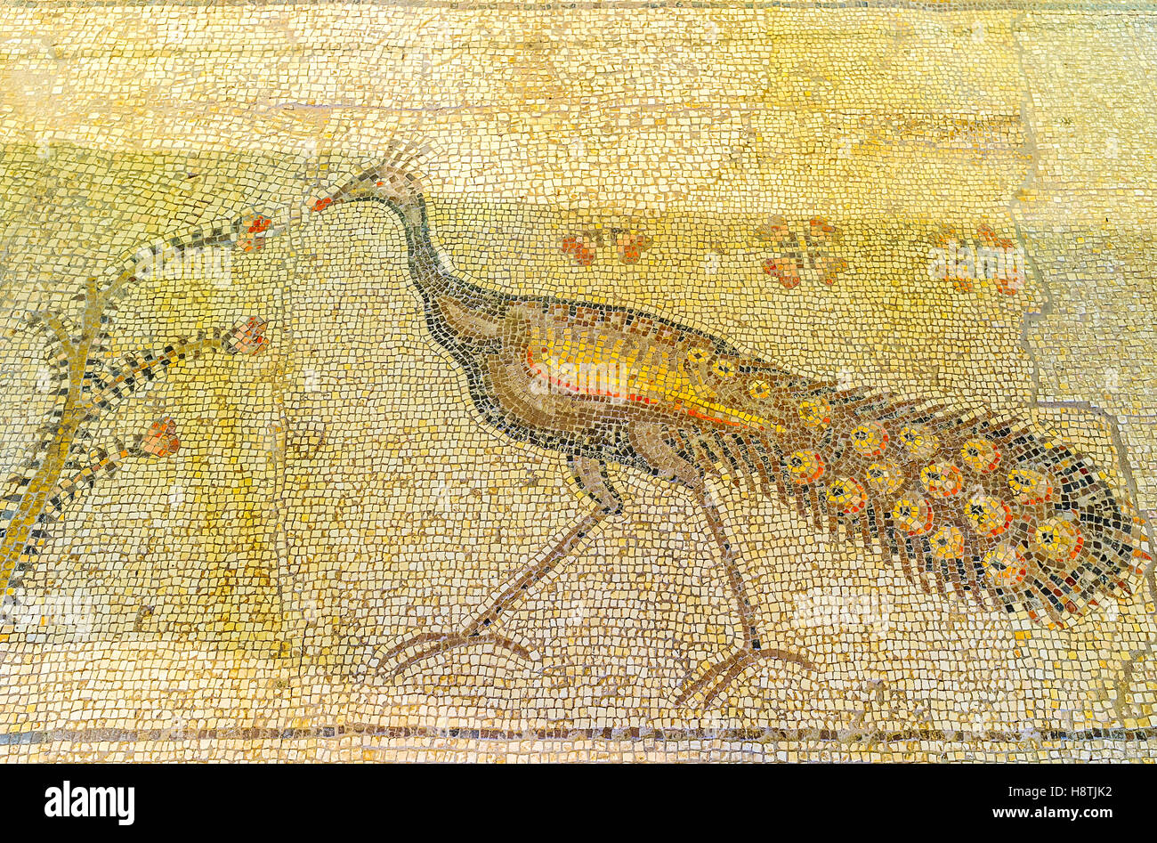 The beautiful peacock with the colorful tail in restored mosaic picture ...