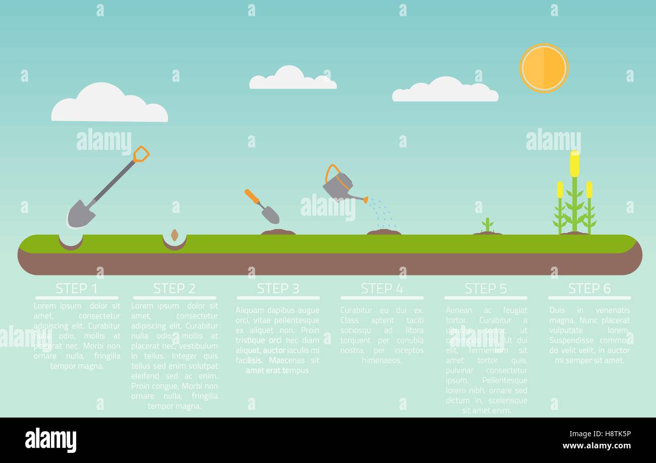Flat illustration how to growth a plant. Digging, seedling, watering ...