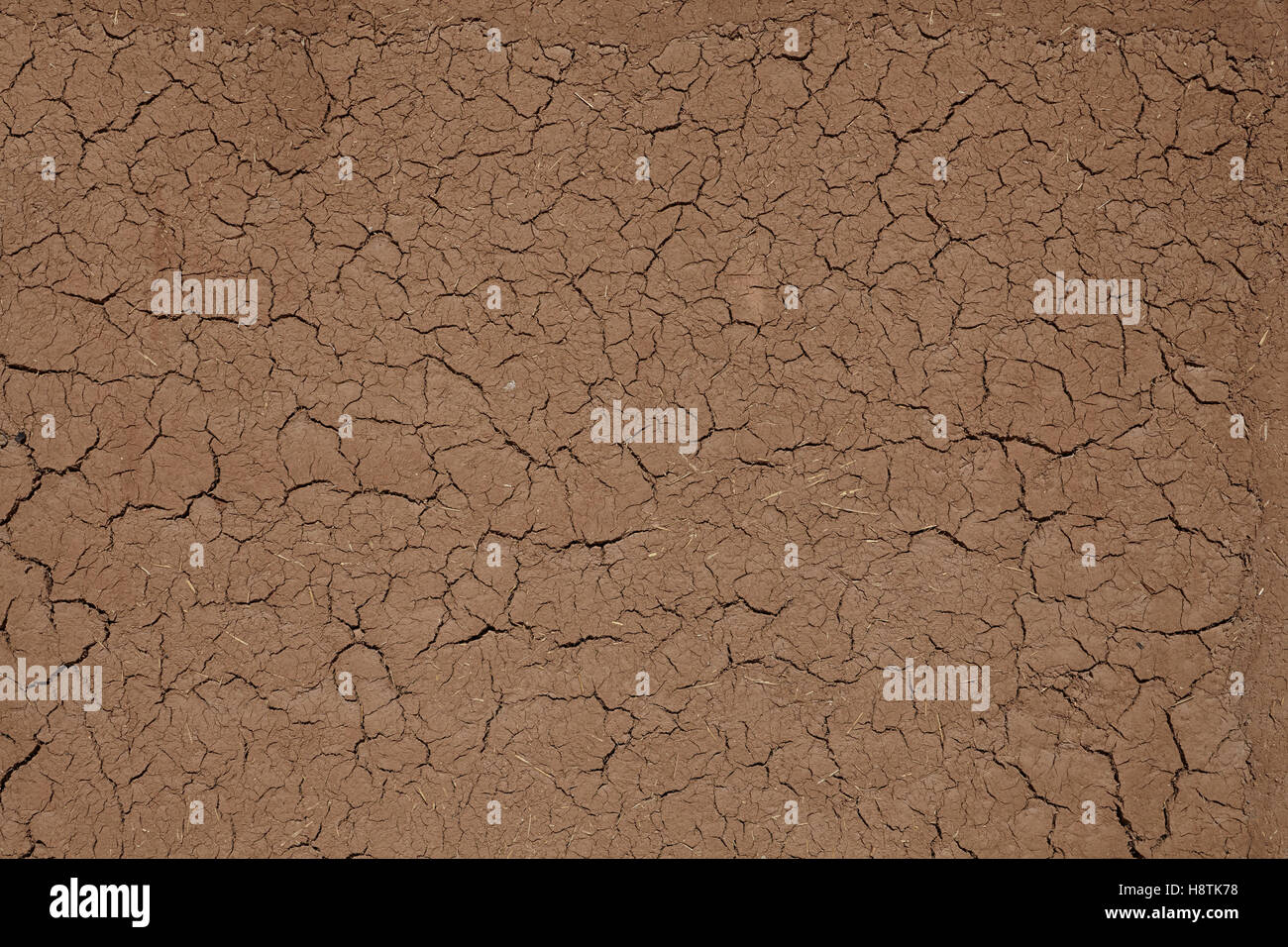 Abstract background in the form of a freshly made cracked clay wall ...