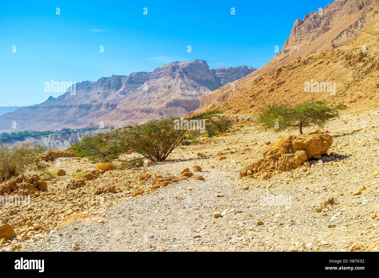 The visiting of Ein Gedi Nature Reserve is the perfect choice to ...