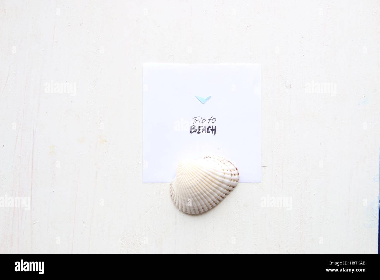 Trip to Beach concept, text and seashell Stock Photo - Alamy