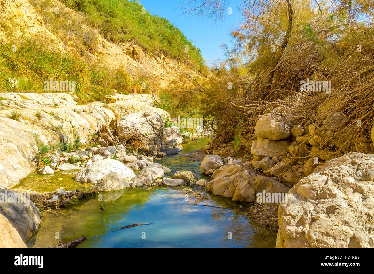 The mirror surface of the mountain river in Ein Gedi Nature Reserve ...