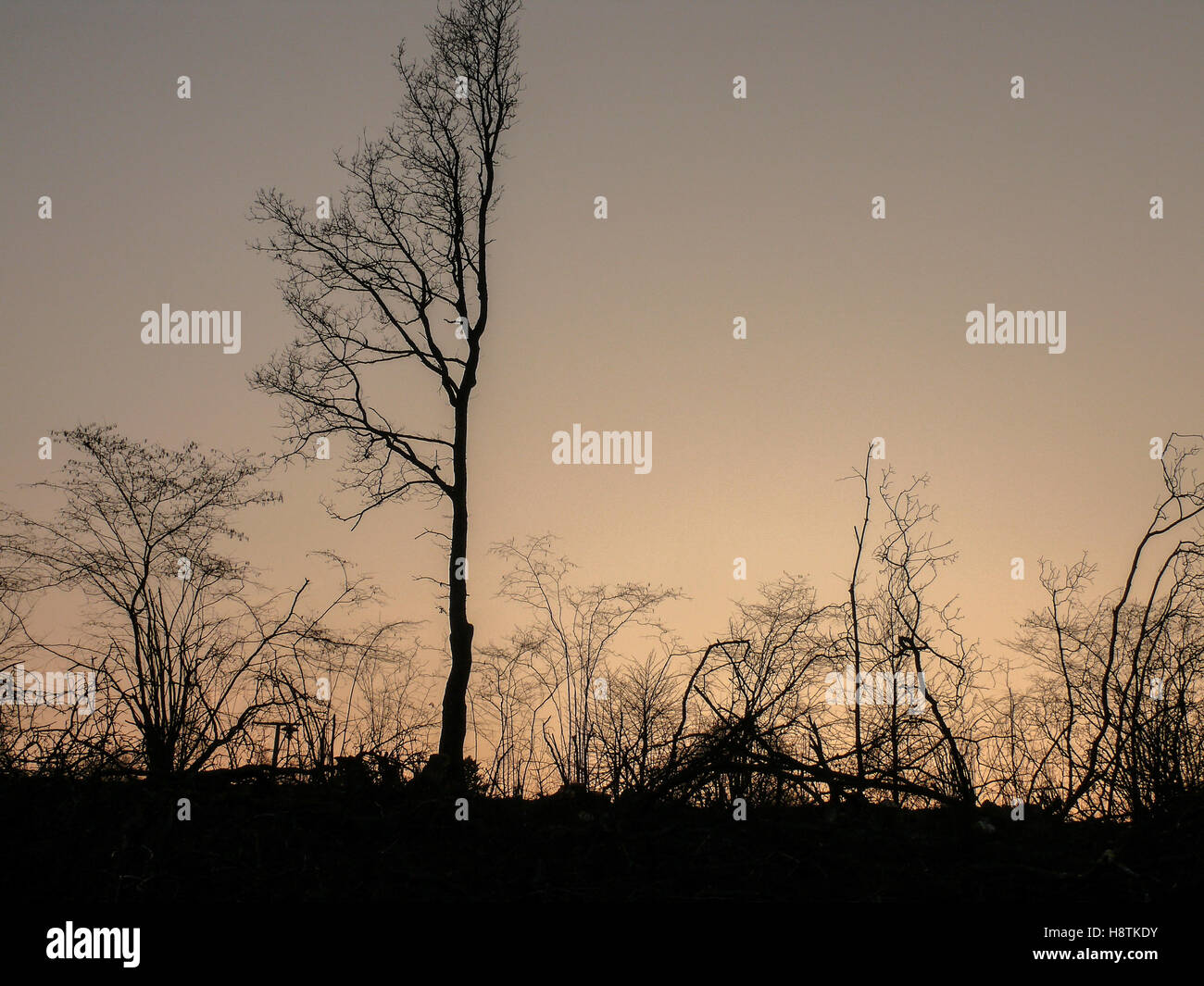 a amazing dramatic sunset over landscape with beautiful silhouette of ...