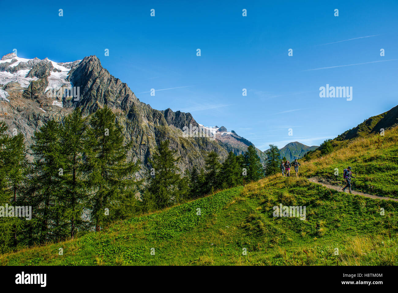 Hikers on the trail that connects the Walter Bonatti Refuge the refuge ...