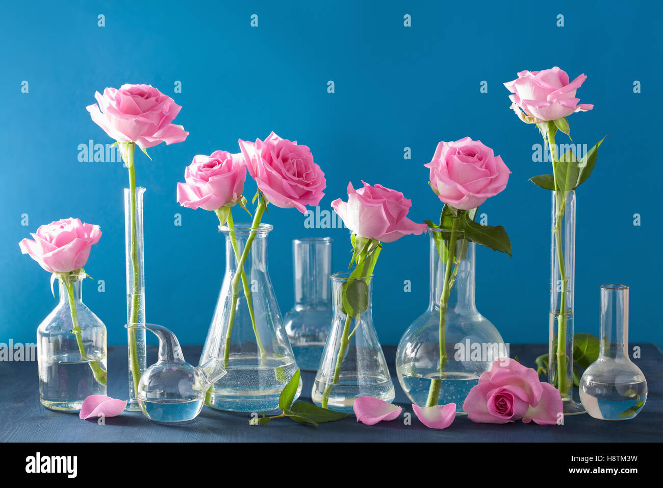 pink rose flowers in chemical flasks over blue Stock Photo - Alamy