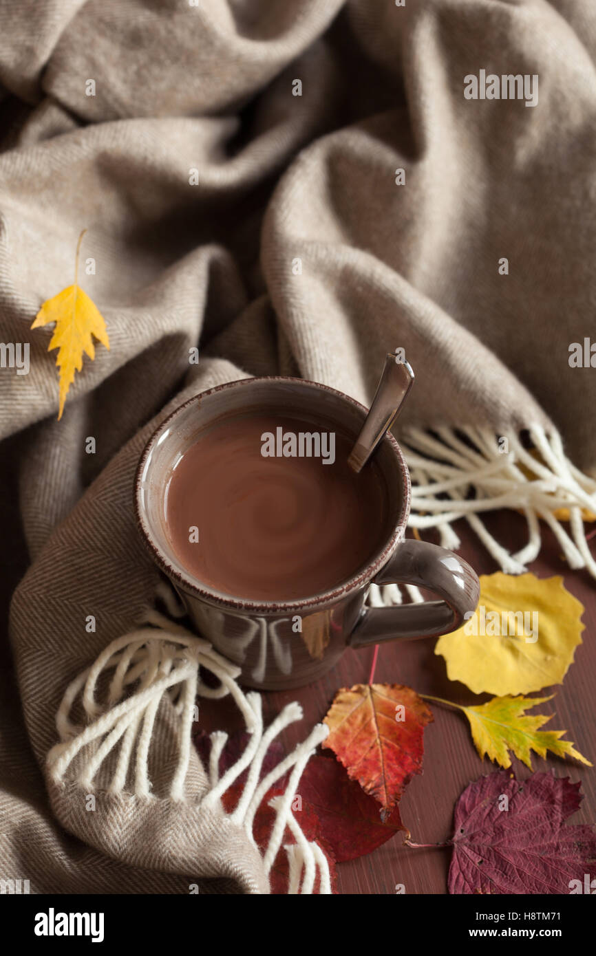 hot chocolate warming drink wool throw cozy autumn leaves Stock Photo ...