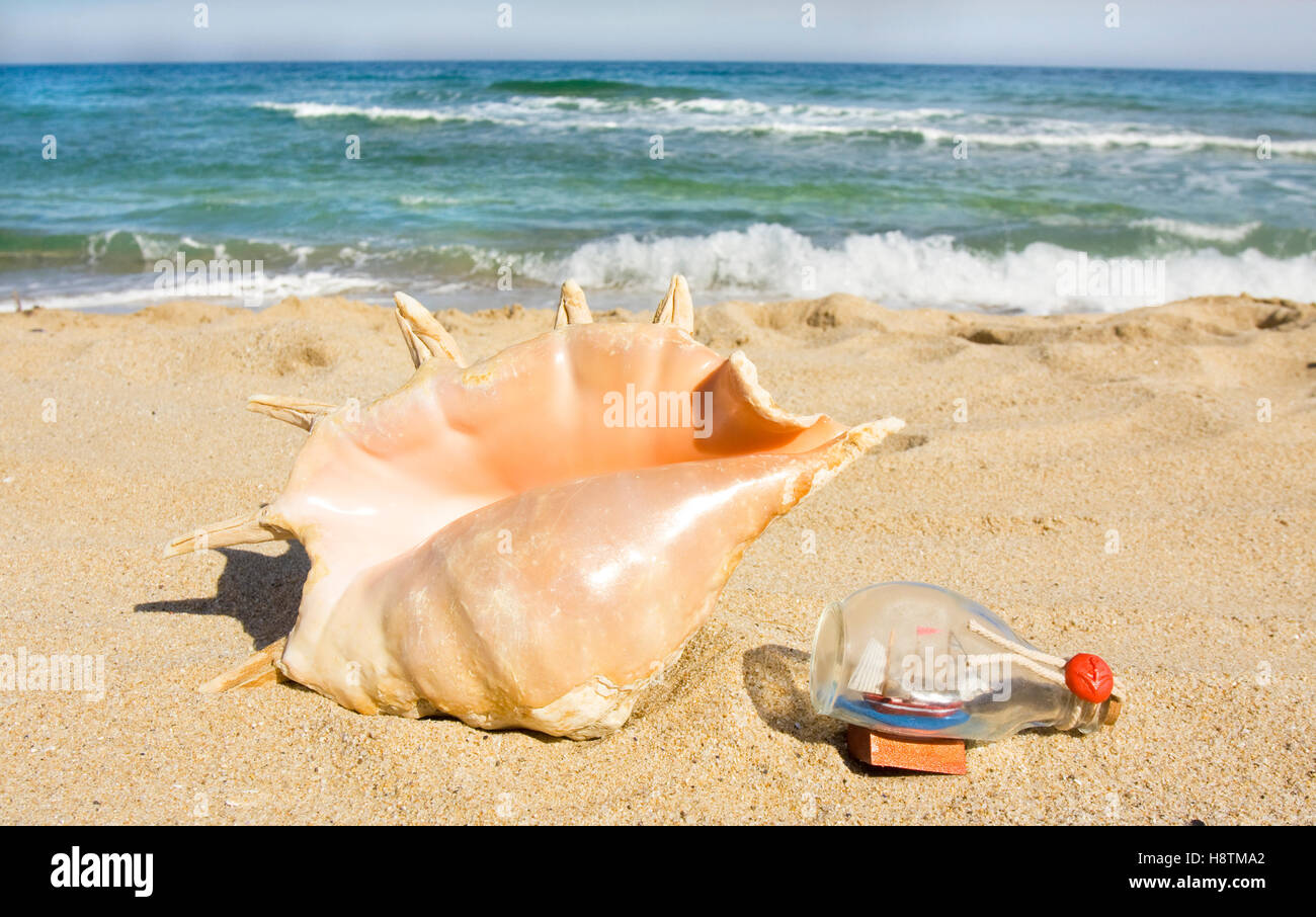 Big shell and sailing ship in bottle Stock Photo - Alamy