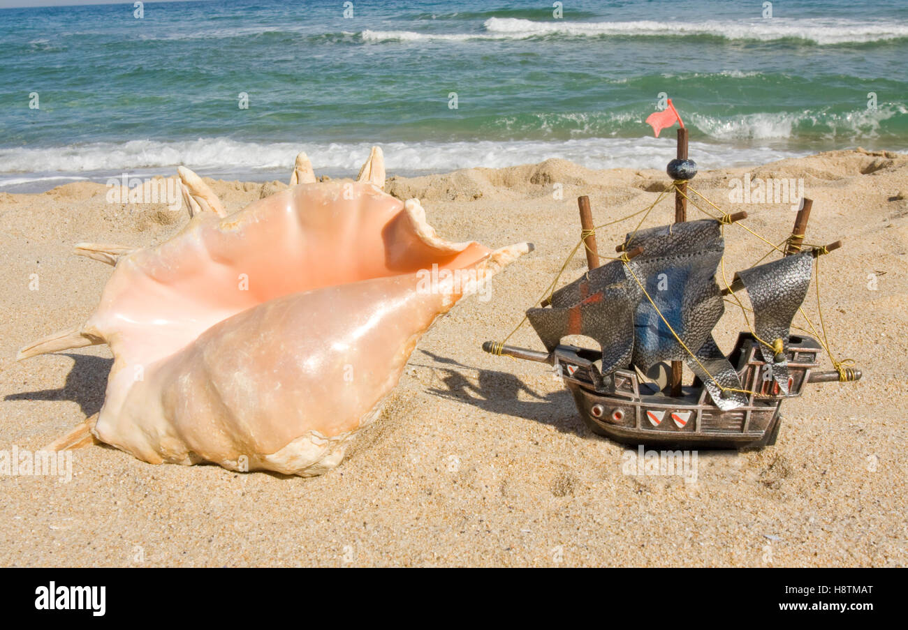 Big shell and toy sailing ship on beach Stock Photo - Alamy