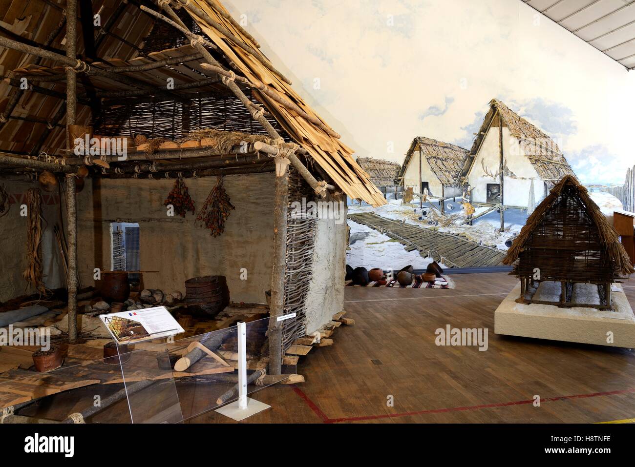 Exhibition on the life of Neolithic men , Clairvaux-les-Lacs , at the ...