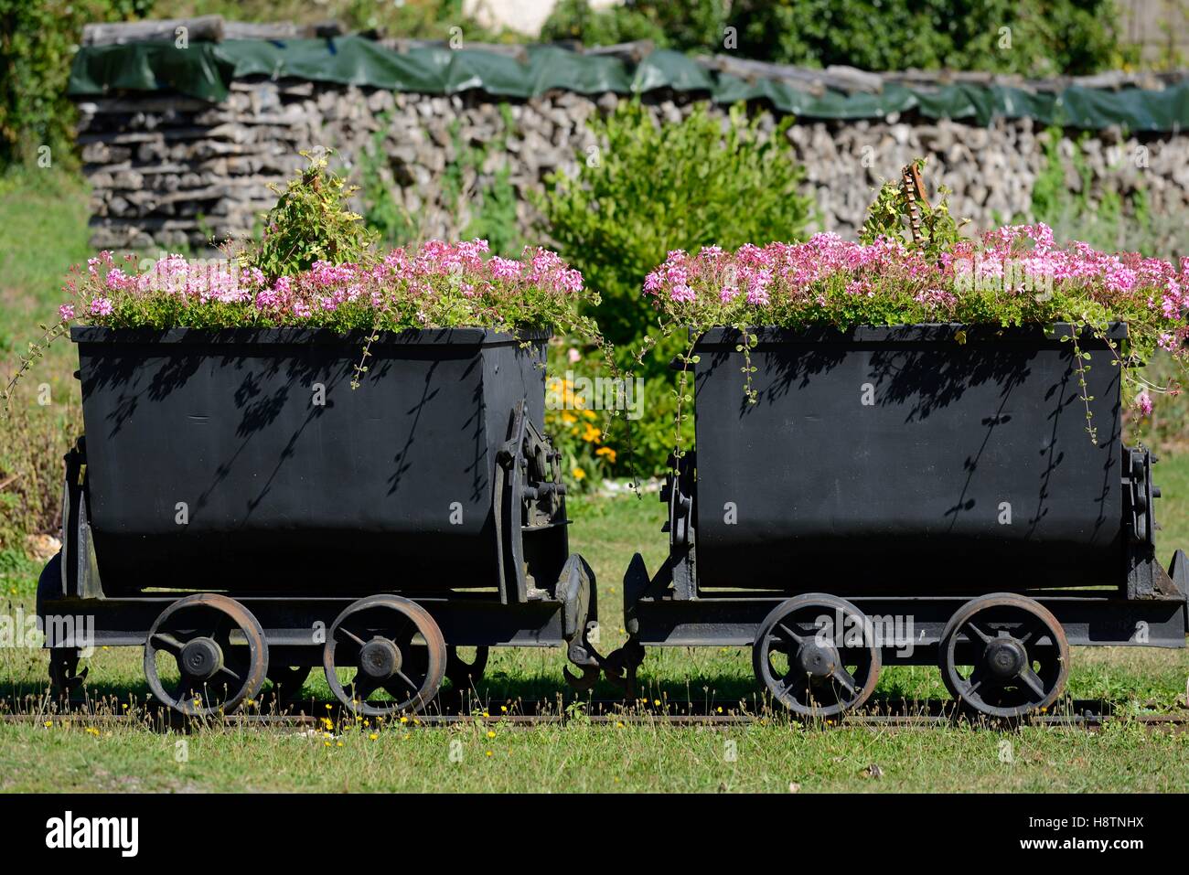 Flower mine cars , in memory of mining polymetallic mines - lead ...