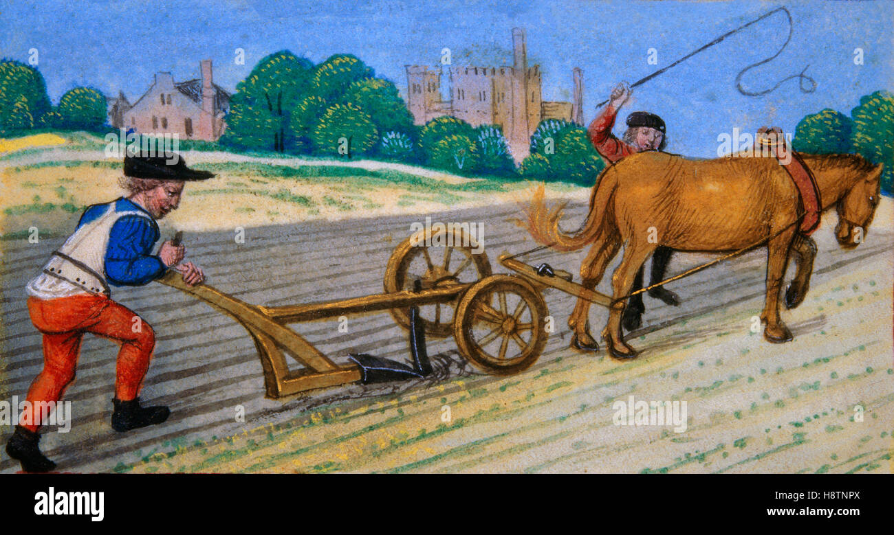 Miniature 15th century , farmers plowing Stock Photo - Alamy