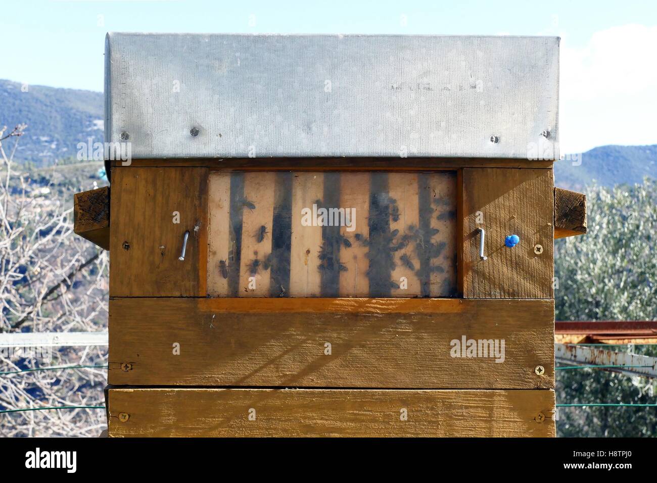 Warré hive. observation window. Apiary Porte Rouge. Levens. Alpes ...