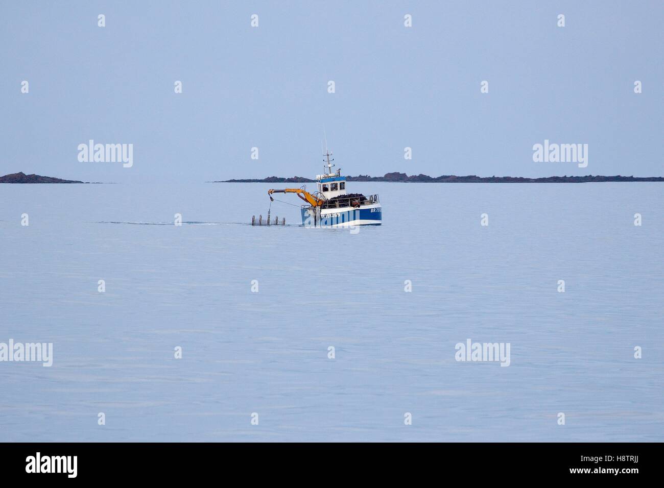 Wracker in action in Molène archipelago, Brittany, France Stock Photo ...