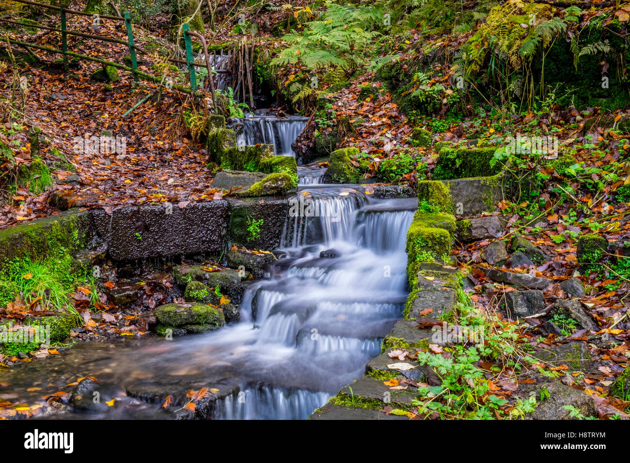 A fish ladder running between a rocky embankment with autumnal colours ...