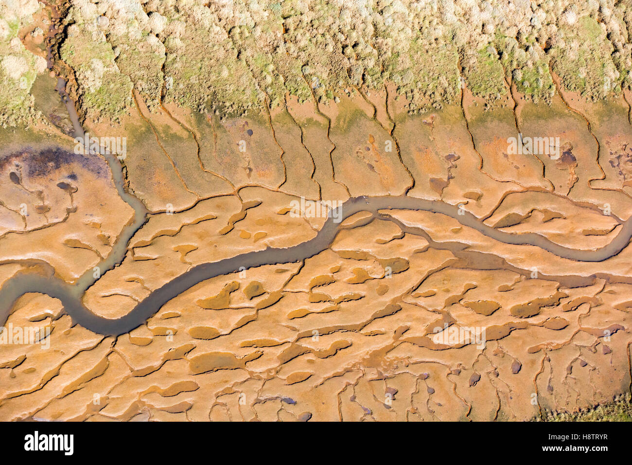 Odiel marshes, Huelva, Spain Stock Photo - Alamy
