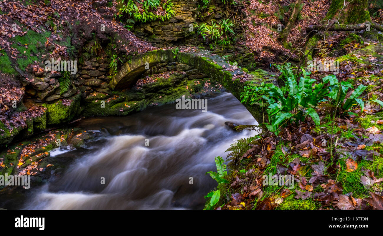 A river running under a very narrow stone footbridge with the water ...