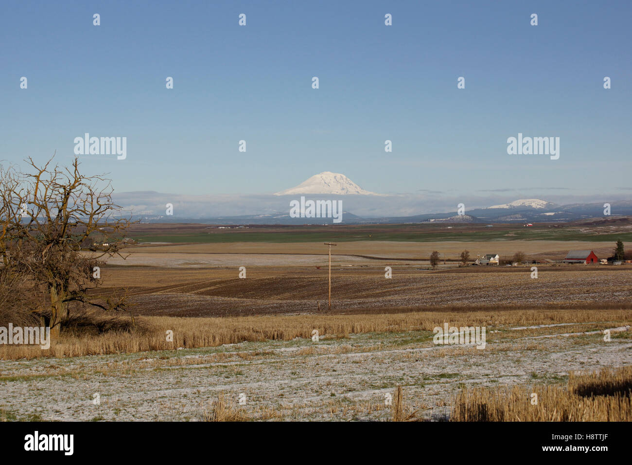 Mt adams volcano hi-res stock photography and images - Alamy