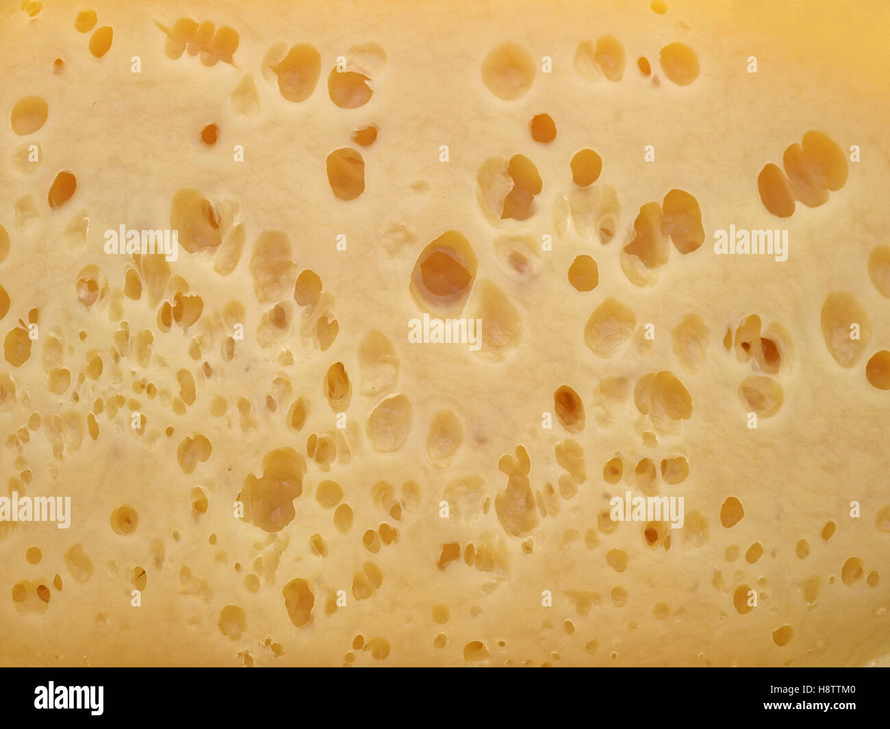 background of cheese with holes Stock Photo - Alamy