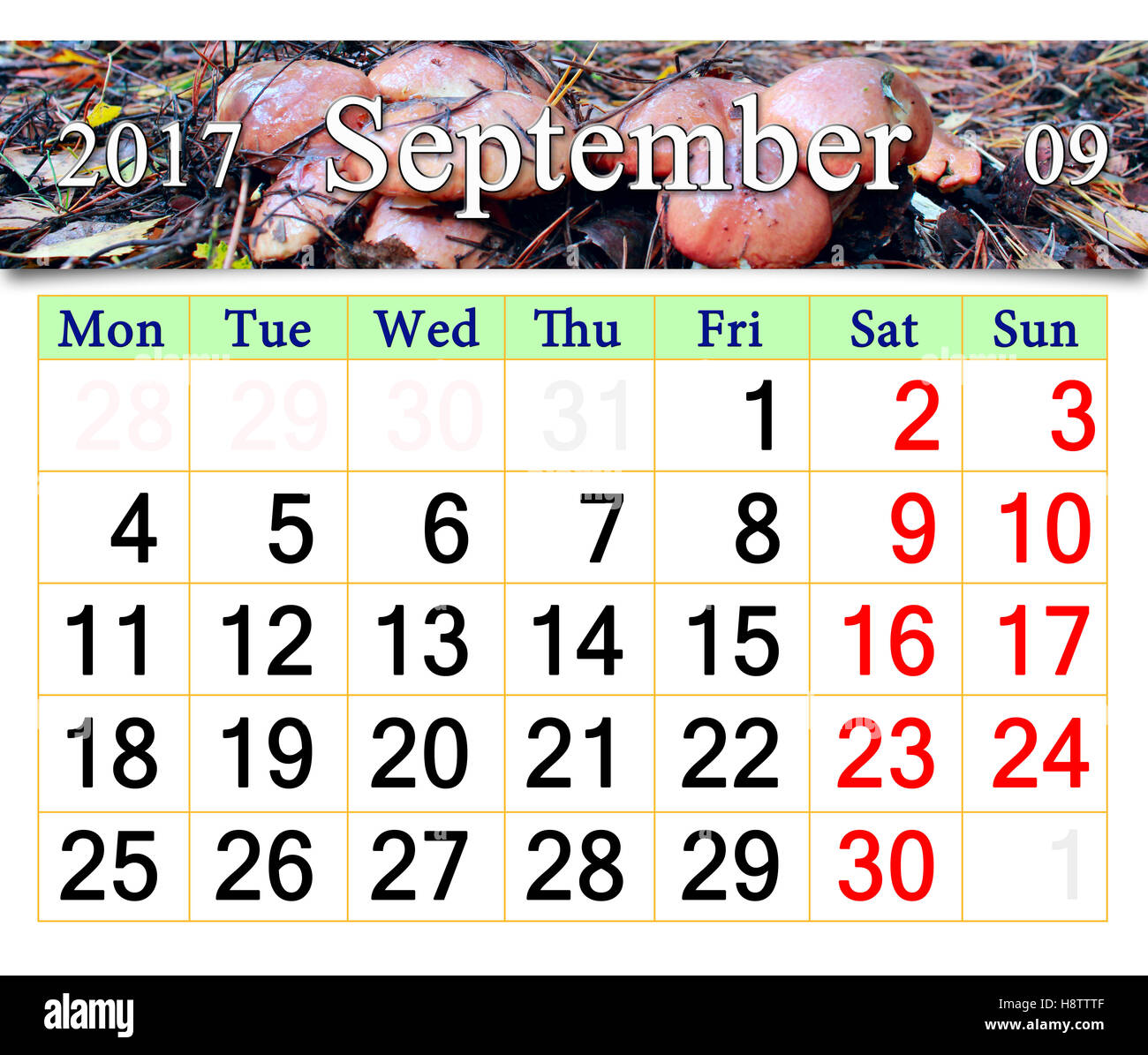 calendar for September 2017 with mushrooms of Suillus in the forest ...