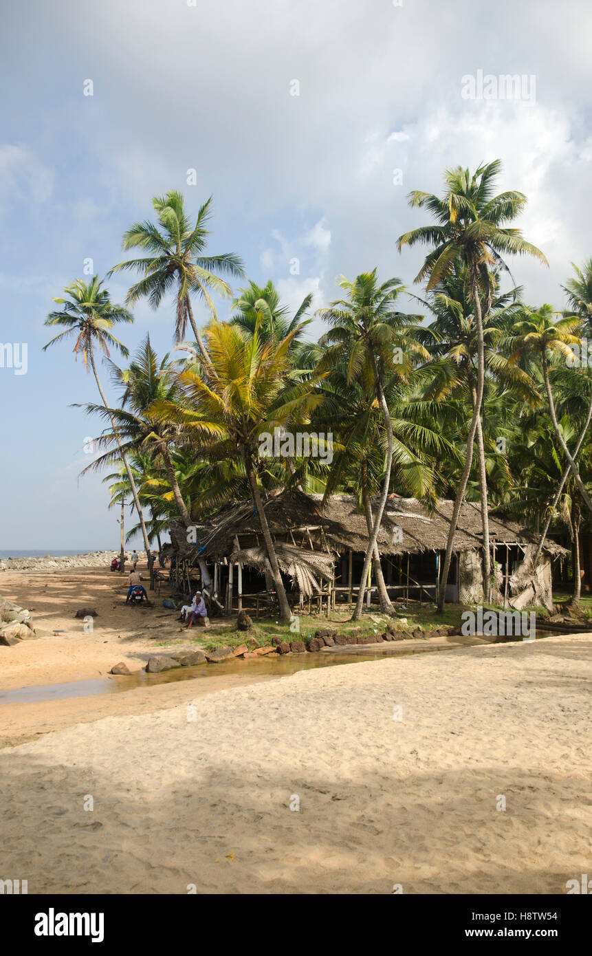 India kerala tree house hi-res stock photography and images - Alamy