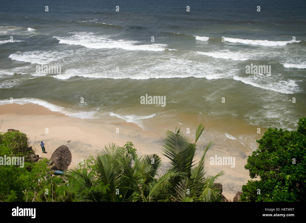 Palm fringed beach in Varkala, Kerala, South India Stock Photo - Alamy