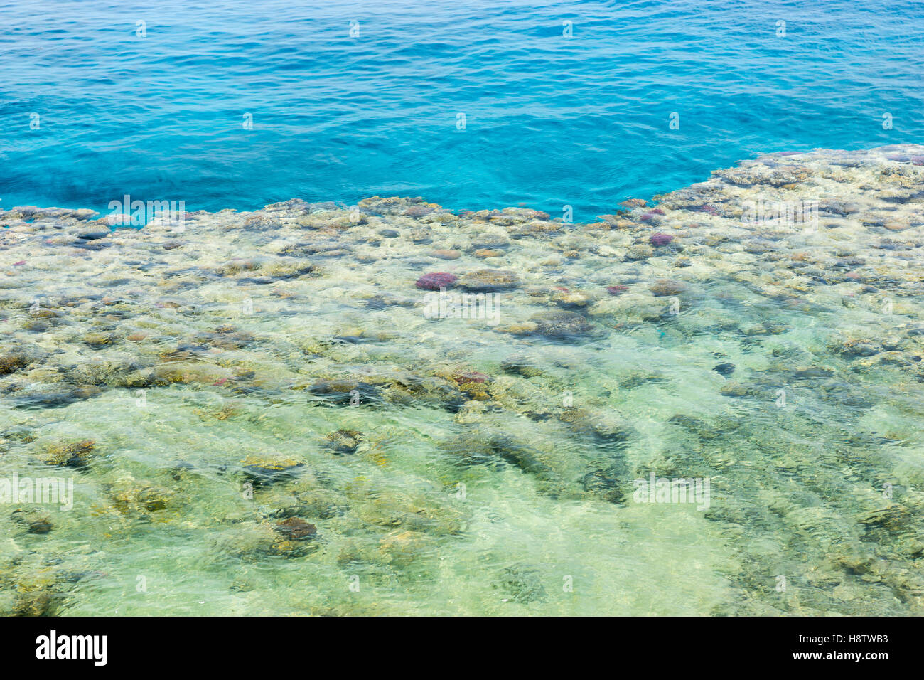 Clean blue sea with corals and reefs against blue sky Stock Photo - Alamy