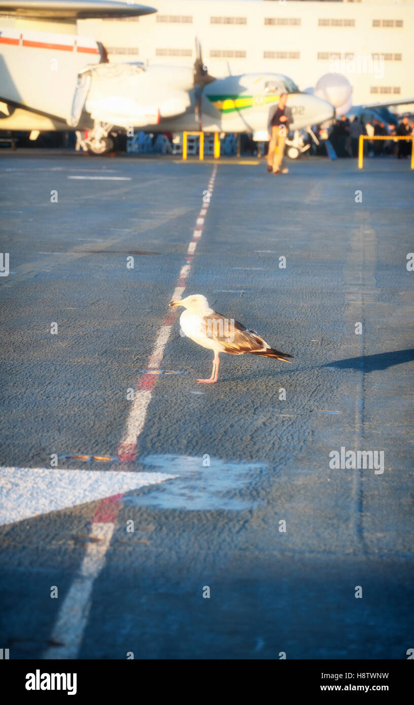 Uss sea gull hi-res stock photography and images - Alamy