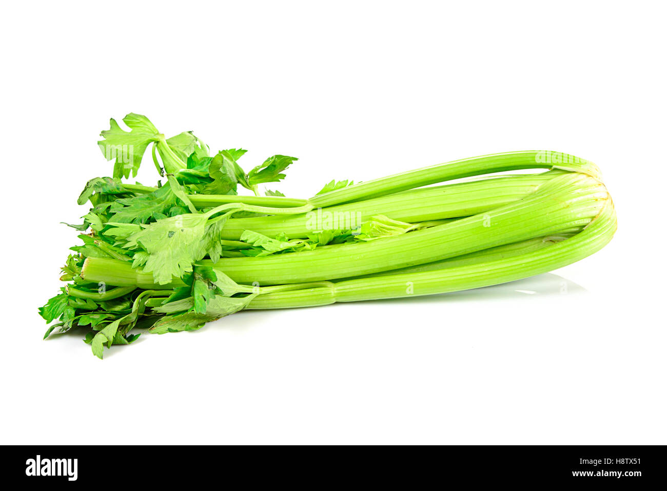 Fresh Juicy Celery on White Background Stock Photo - Alamy