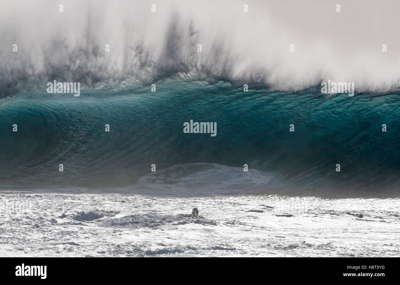 Surfing the waves at Ehukai beach park on the north shore of Oahu ...