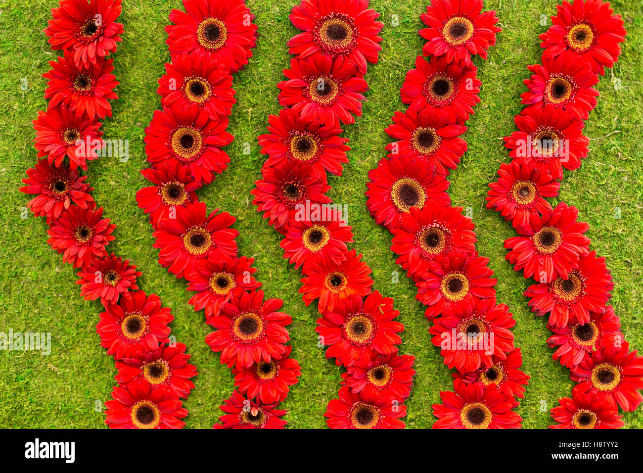 Red floral displays hi-res stock photography and images - Alamy