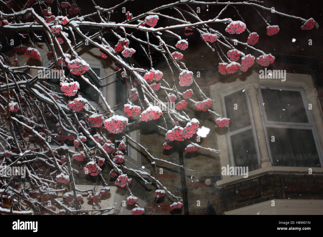 Lamp post snow hi-res stock photography and images - Alamy