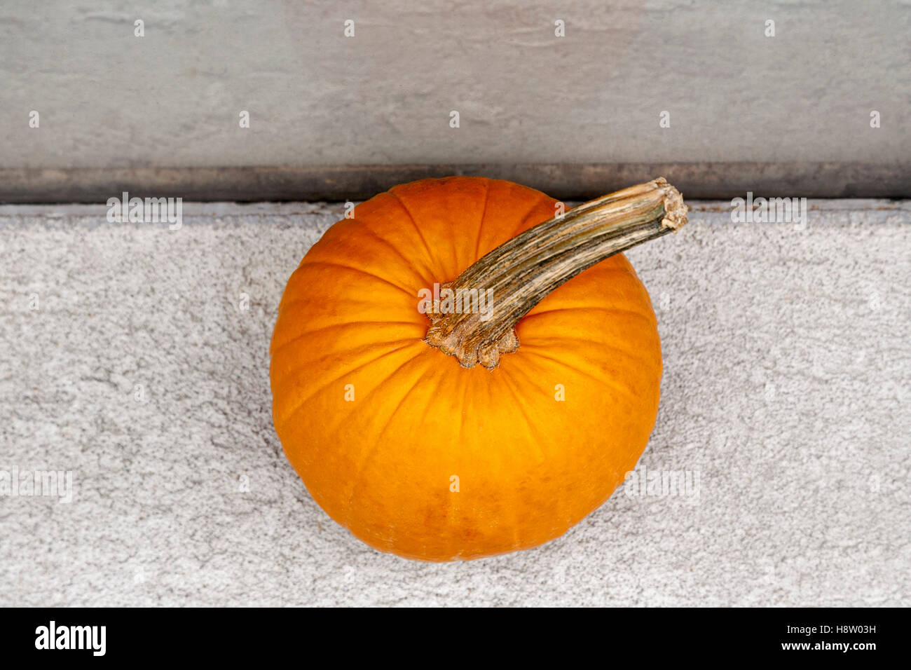 Still life photography with pumpkin hi-res stock photography and images ...