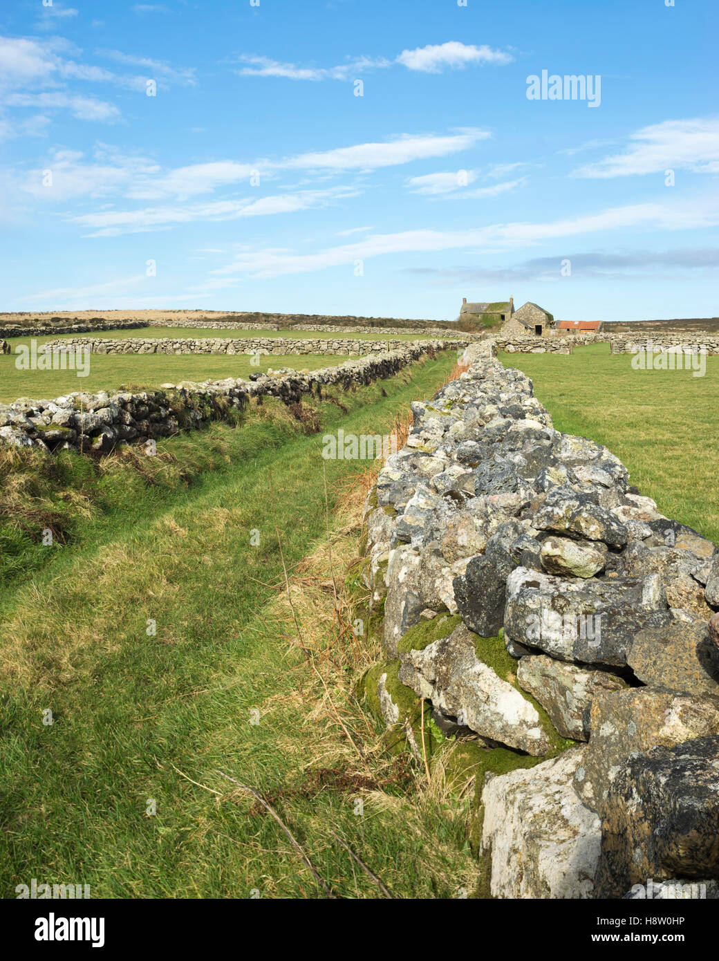 Stone hedges in cornwall hi-res stock photography and images - Alamy