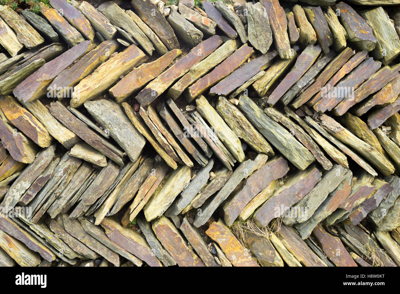 Cornish stone hedge with coursed herringbone pattern, Cornwall Stock ...