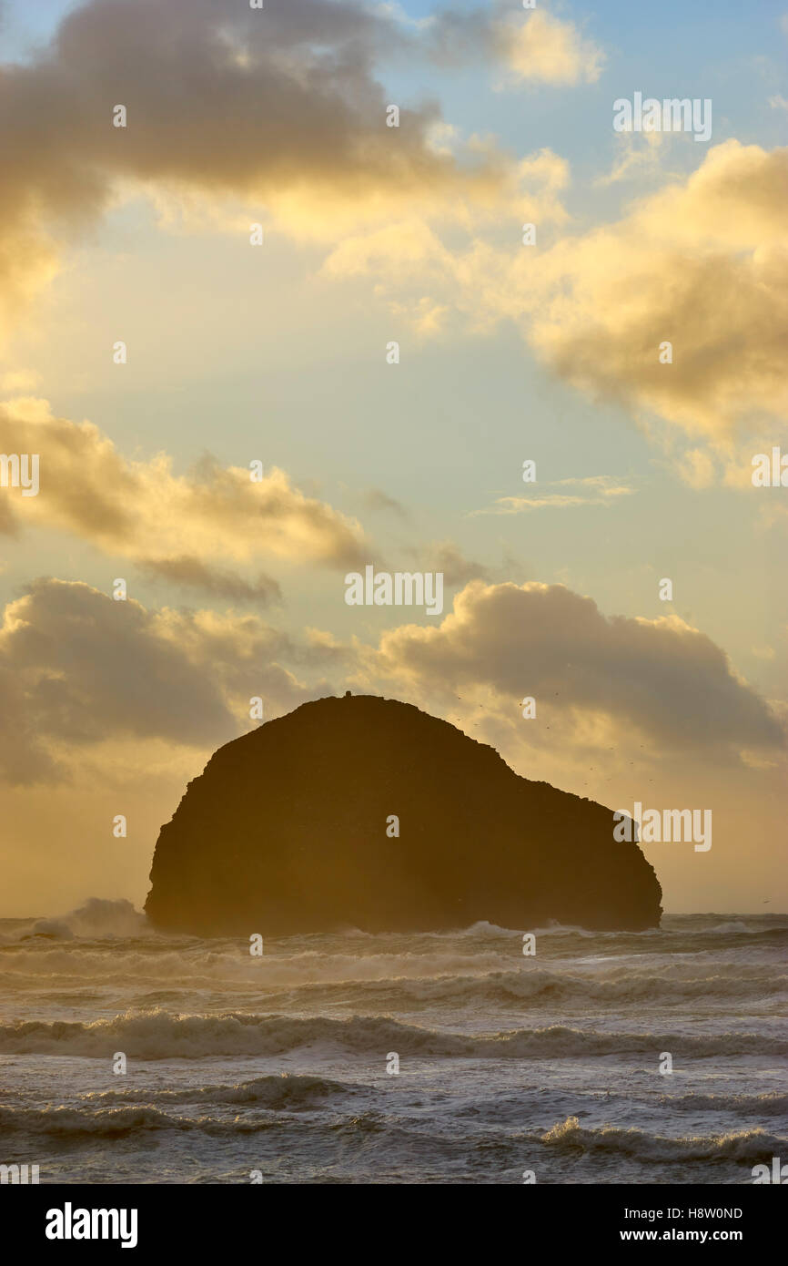 Gull Rock at Trebarwith Strand, Cornwall, England. At sunset with rough ...