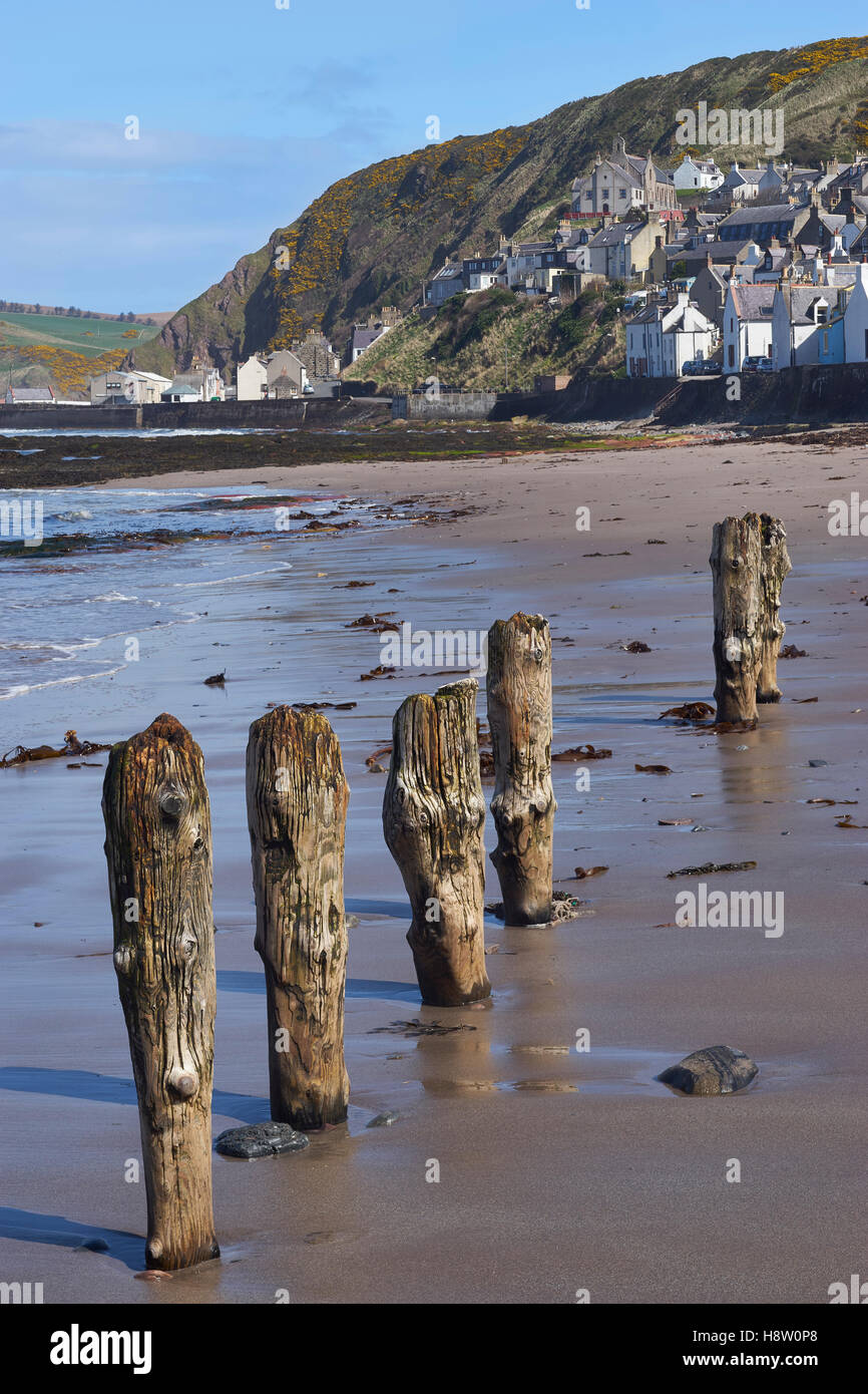 View of gardenstown hi-res stock photography and images - Alamy