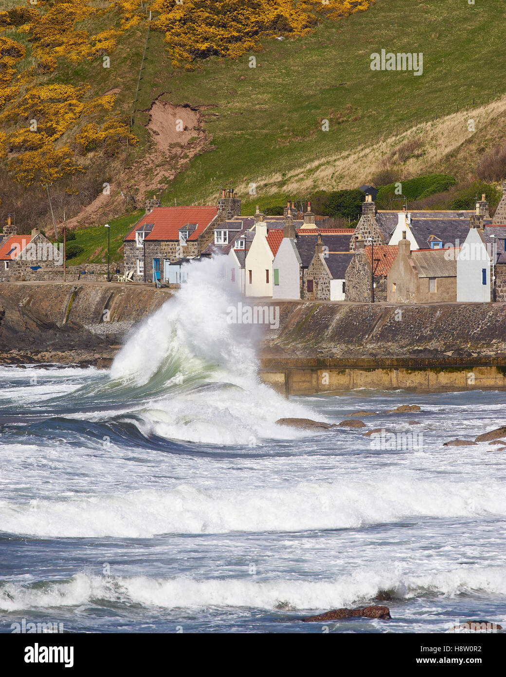 Waves breaking at Crovie, Aberdeenshire, Scotland Stock Photo - Alamy