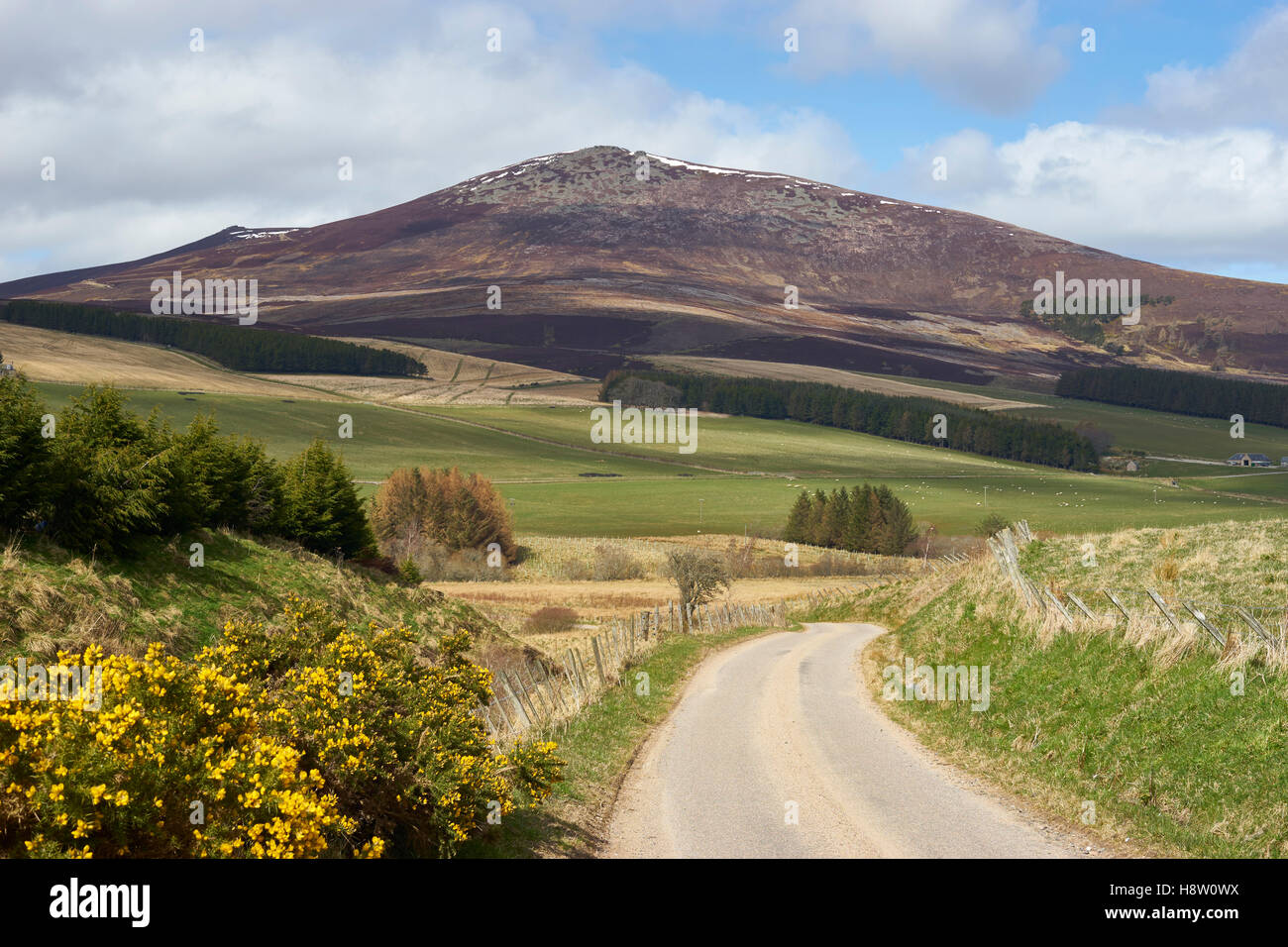 Ben Rinnes from Glenrinnes, Moray, Scotland Stock Photo - Alamy