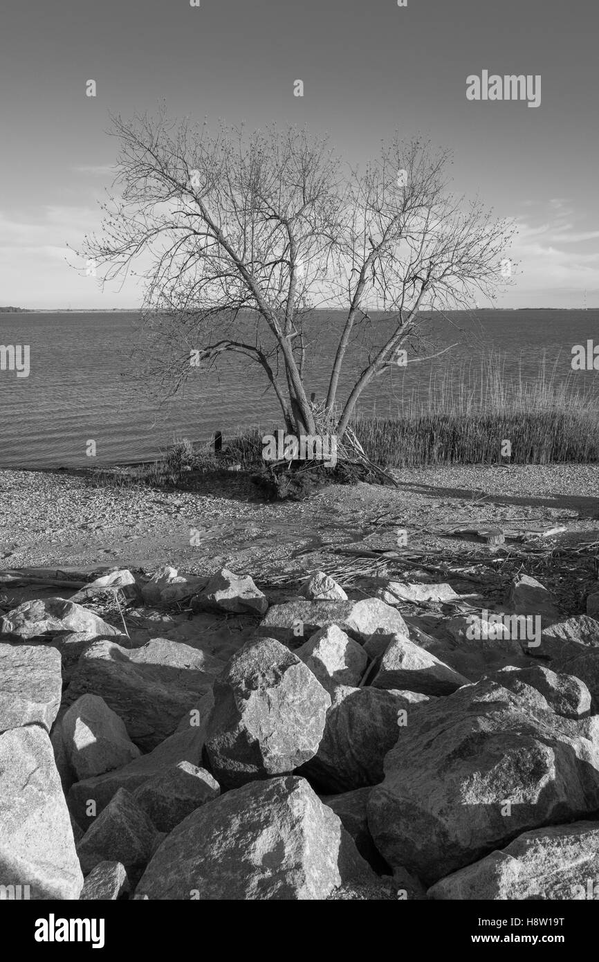 New shore stones hi-res stock photography and images - Alamy