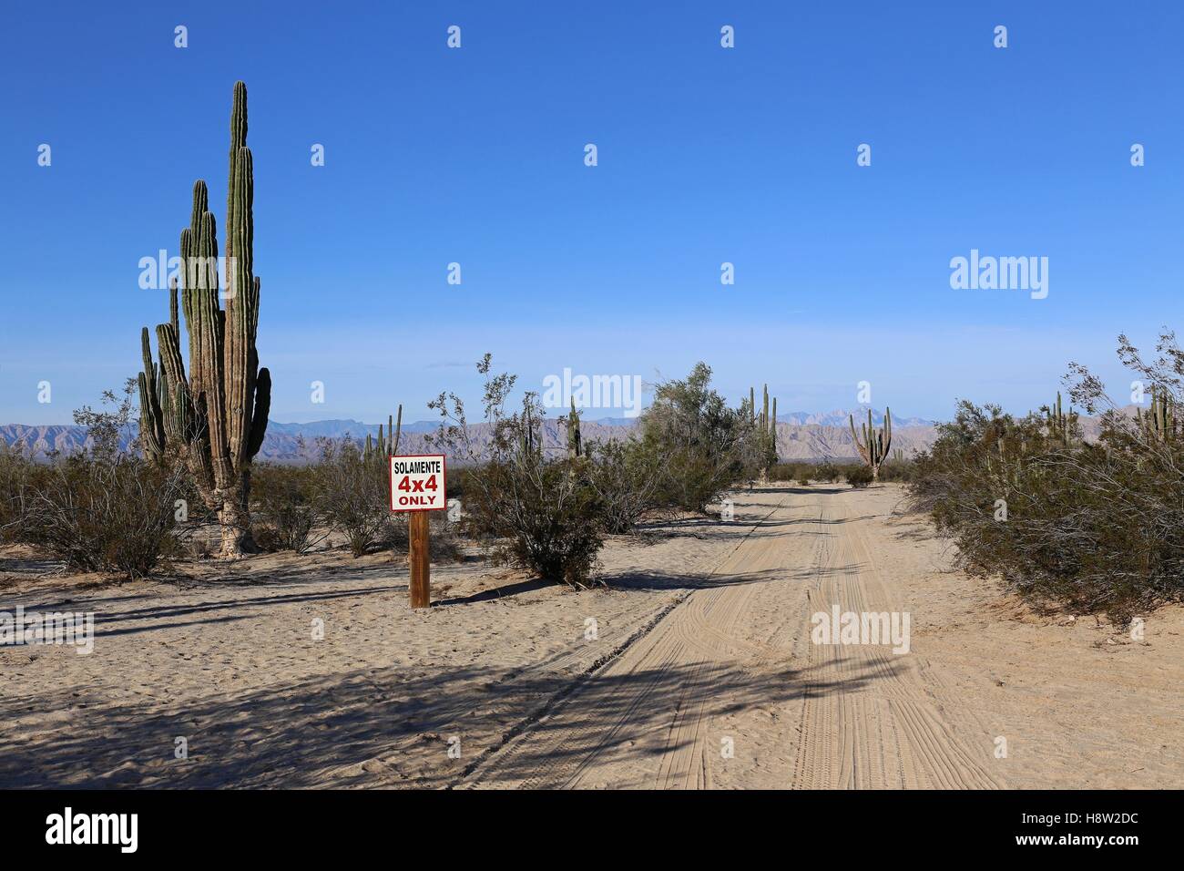 Only 4x4 in the Baja California Desert Stock Photo - Alamy