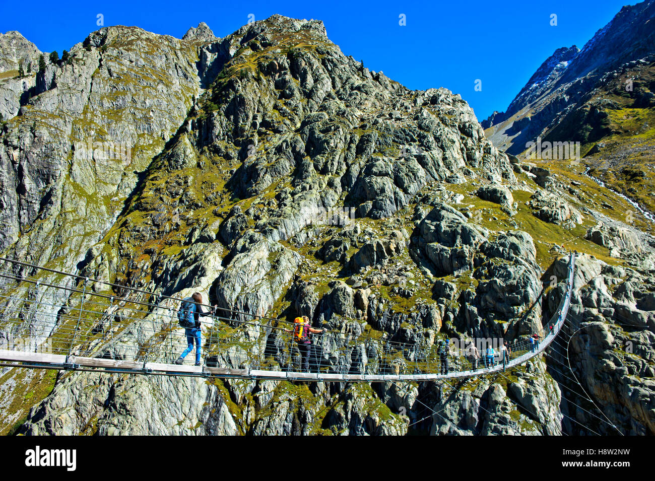 Trift Bridge, longest pedestrian-only suspension bridge in Swiss Alps ...