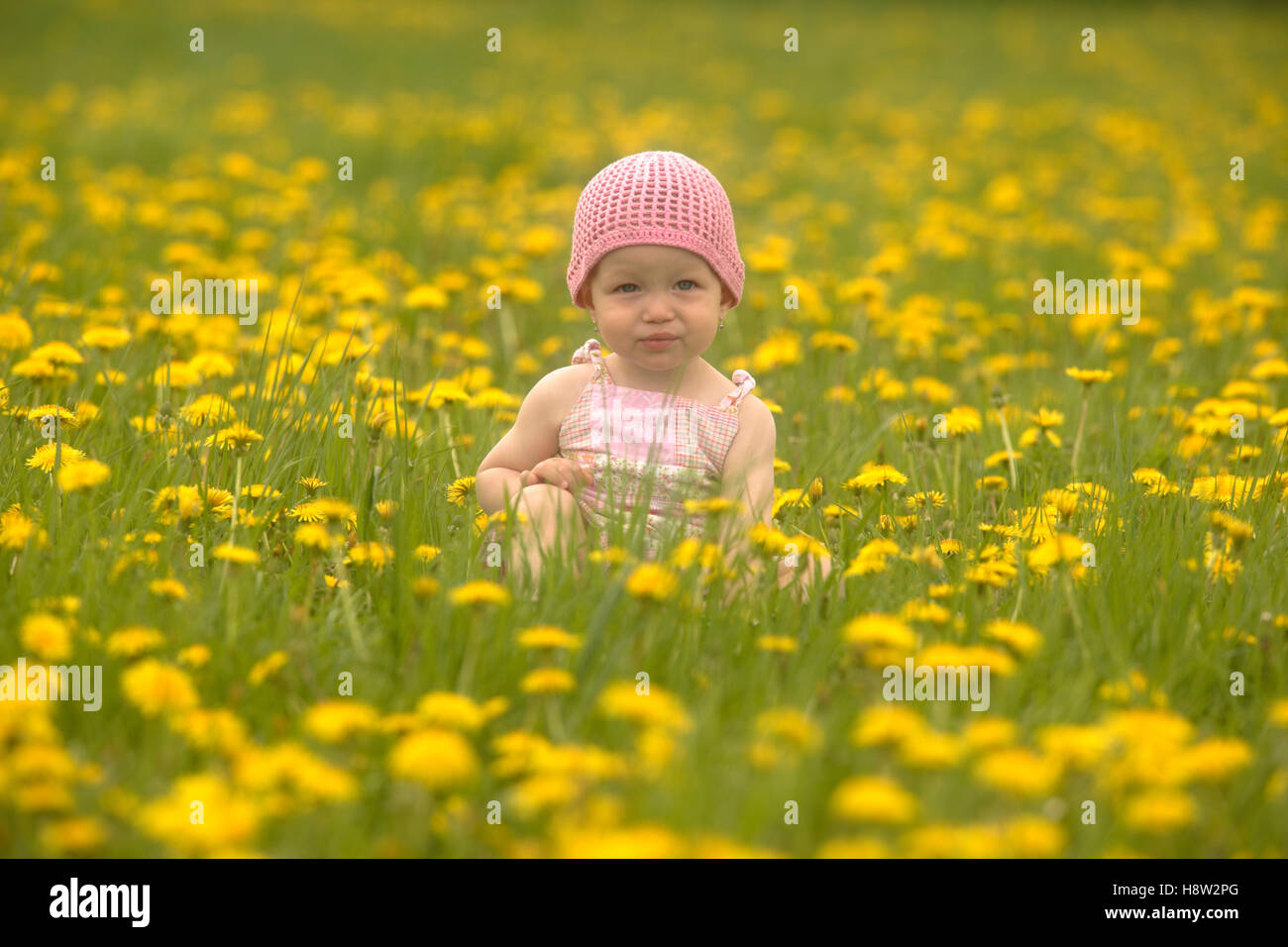 Baby, girl, in a spring meadow Stock Photo - Alamy