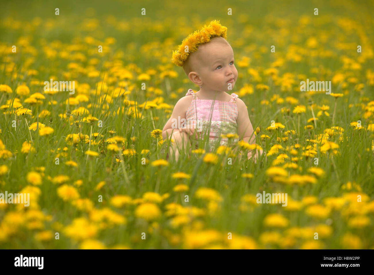 Baby, girl, in a spring meadow Stock Photo - Alamy
