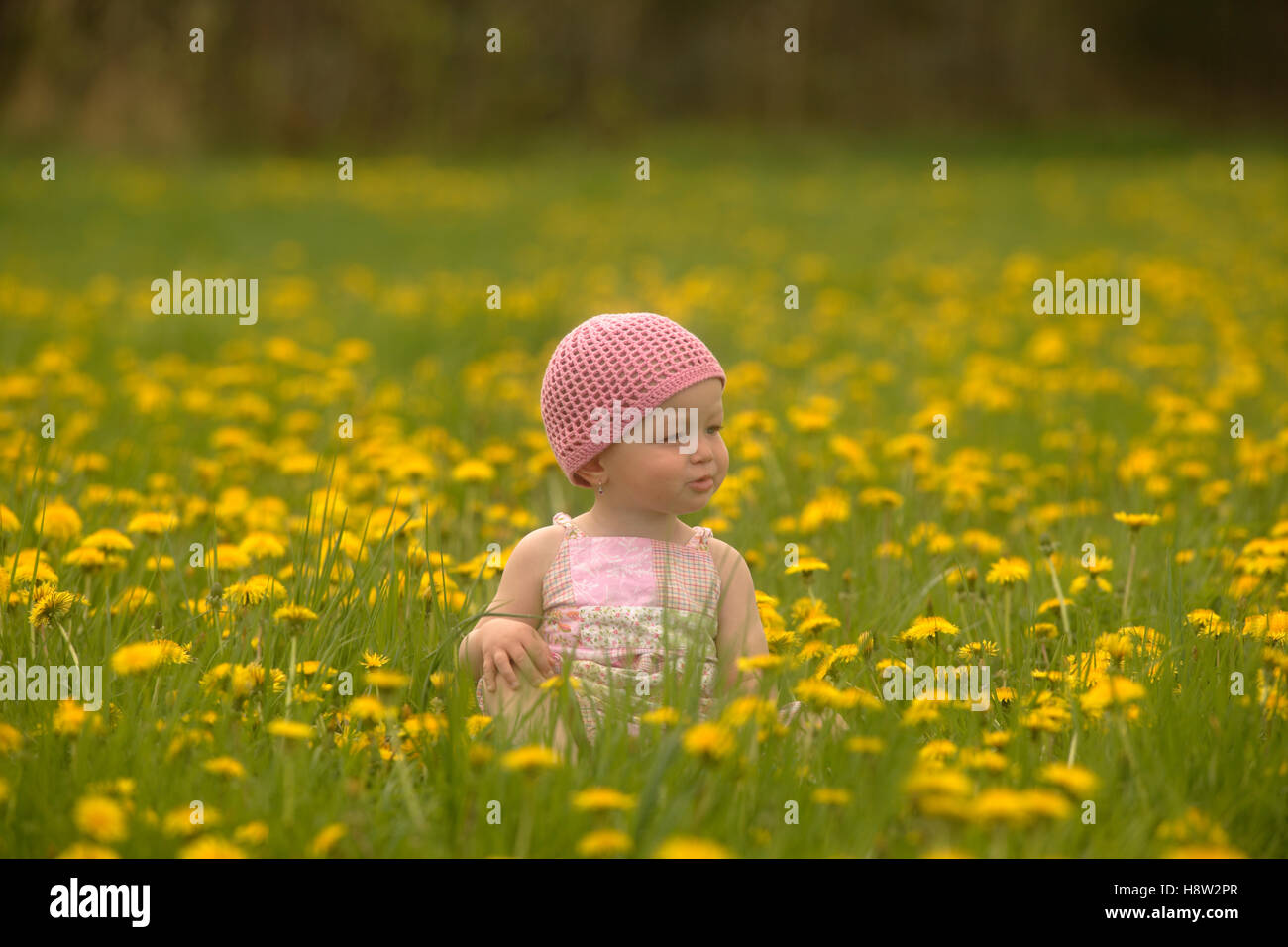 Baby, girl, in a spring meadow Stock Photo - Alamy