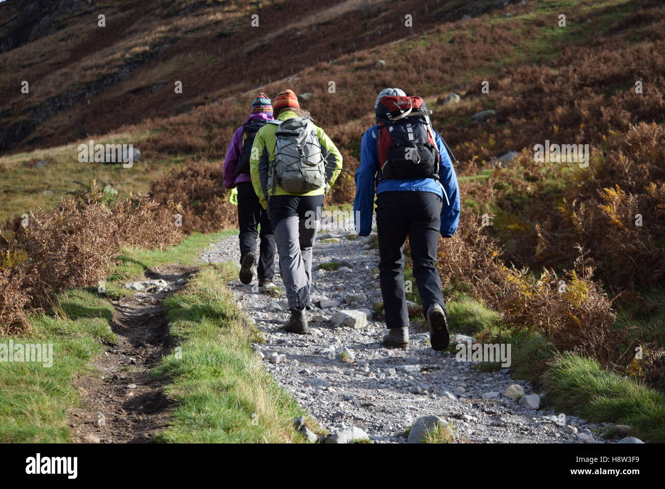 Hikers mountain climb hi-res stock photography and images - Alamy