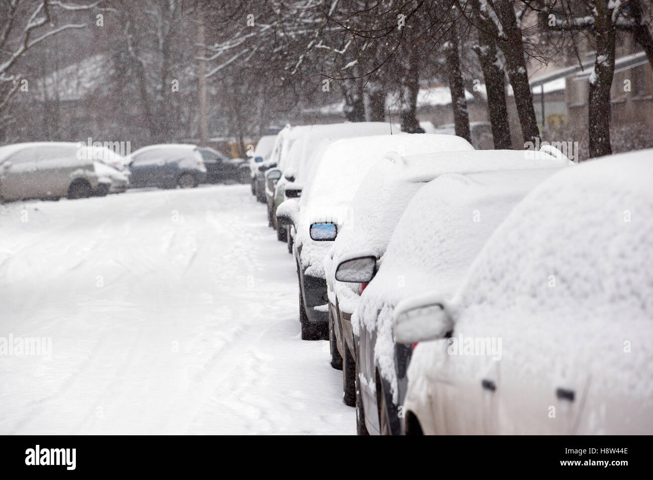 parked cars covered with snow - snow storm Stock Photo - Alamy