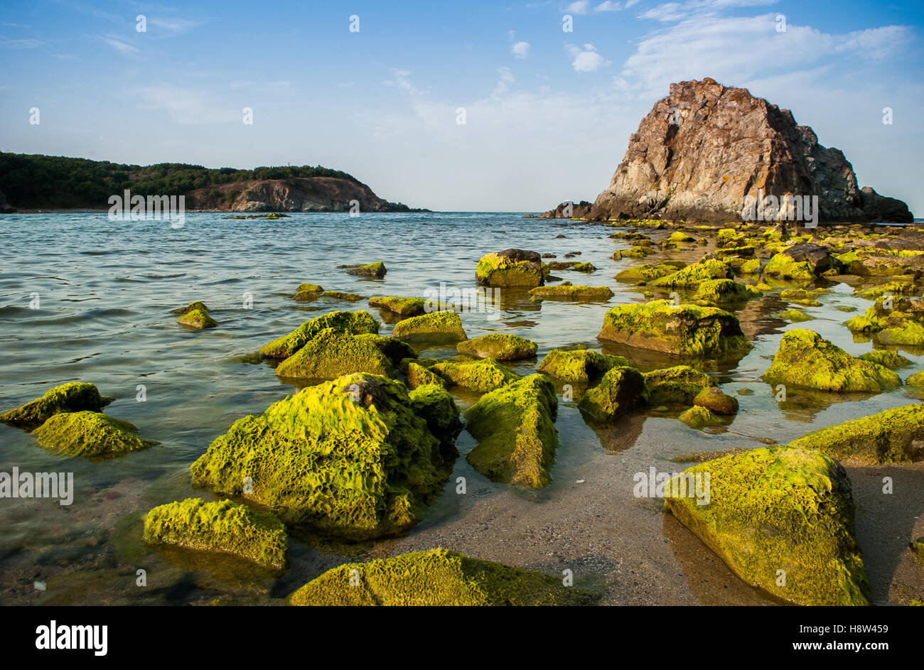Algae covered rocks on Bulgaria's Black Sea coast Stock Photo - Alamy
