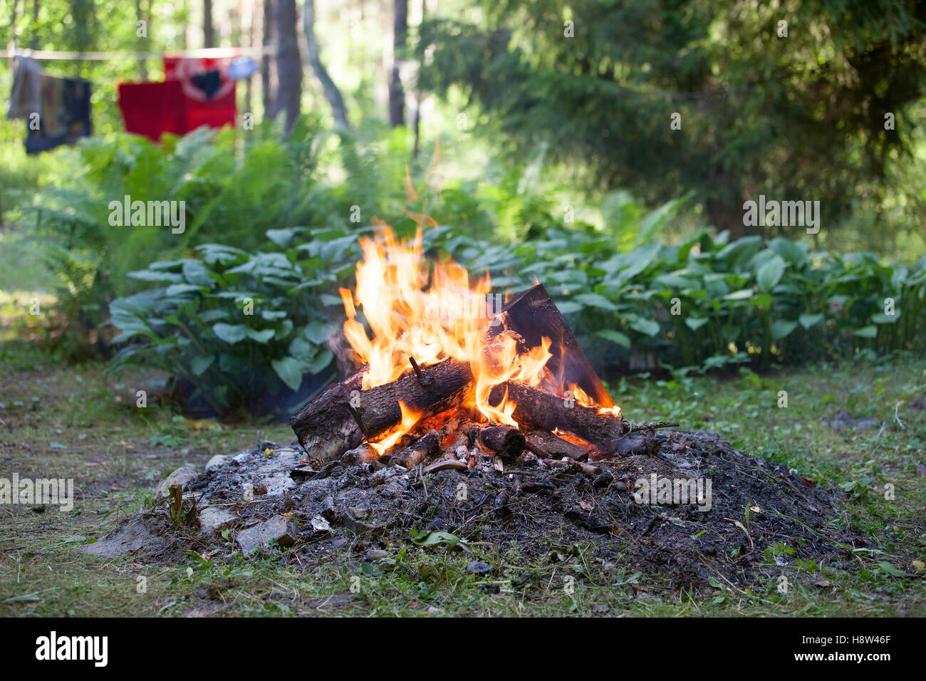 Wooden camp fire Stock Photo - Alamy