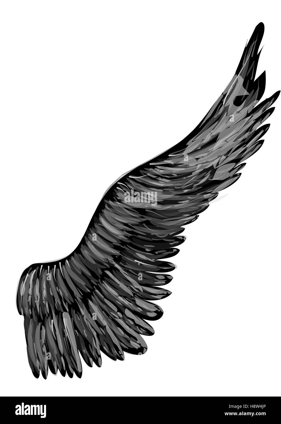 black abstract wing isolated on white background Stock Vector Image ...